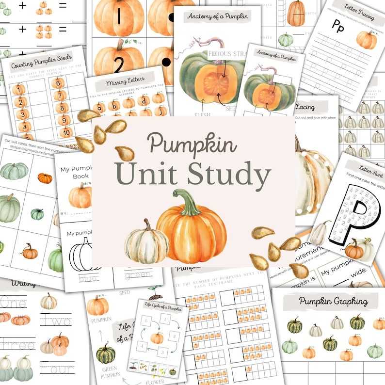 PUMPKIN Unit Study, Life Cycle, Anatomy, Nature Study, Science ...