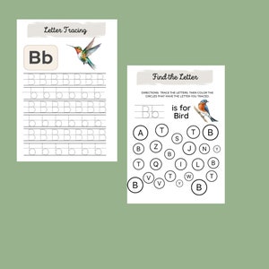 BIRD Mini Unit Study, Bird Activities, Numbers, Nature Study ...