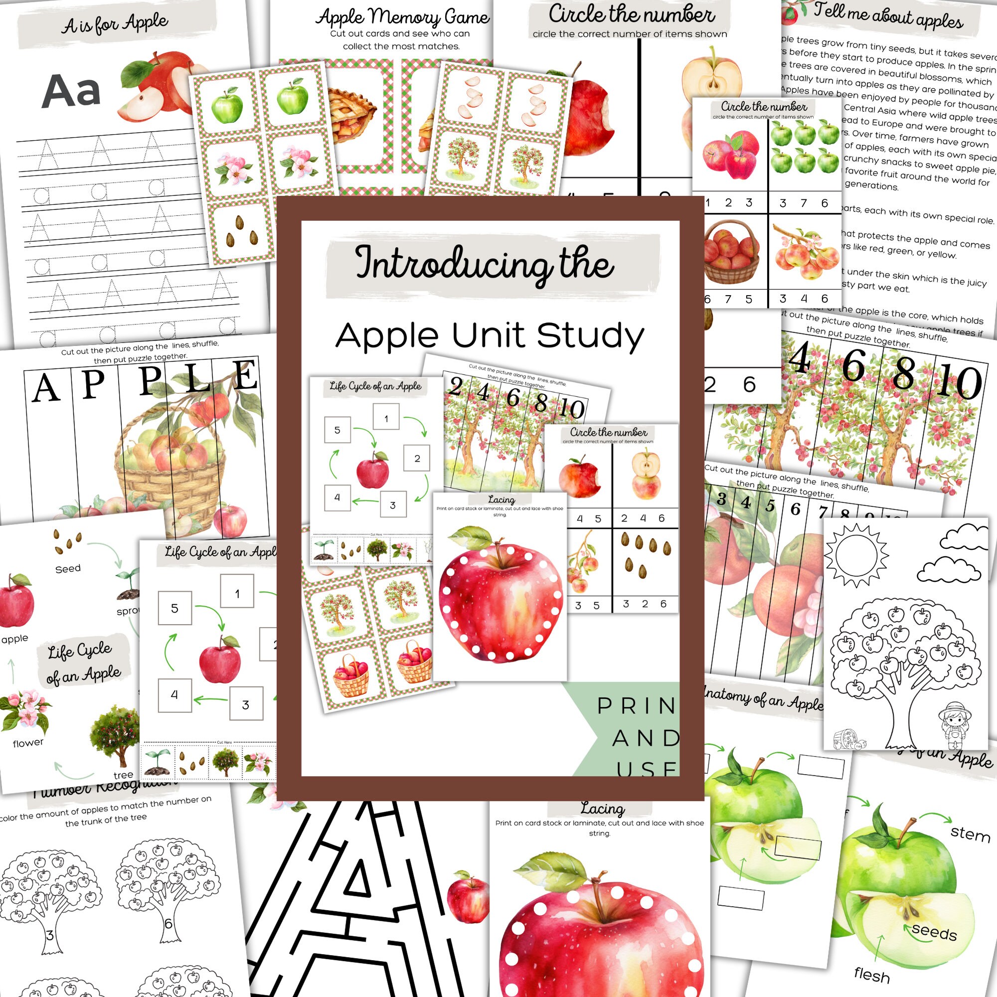 FALL Unit Study, Life Cycle, Anatomy, Nature Study, Science ...