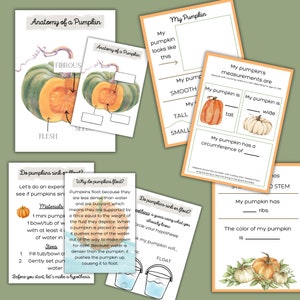 PUMPKIN Unit Study, Life Cycle, Anatomy, Nature Study, Science ...