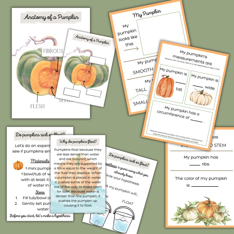 PUMPKIN Unit Study, Life Cycle, Anatomy, Nature Study, Science ...
