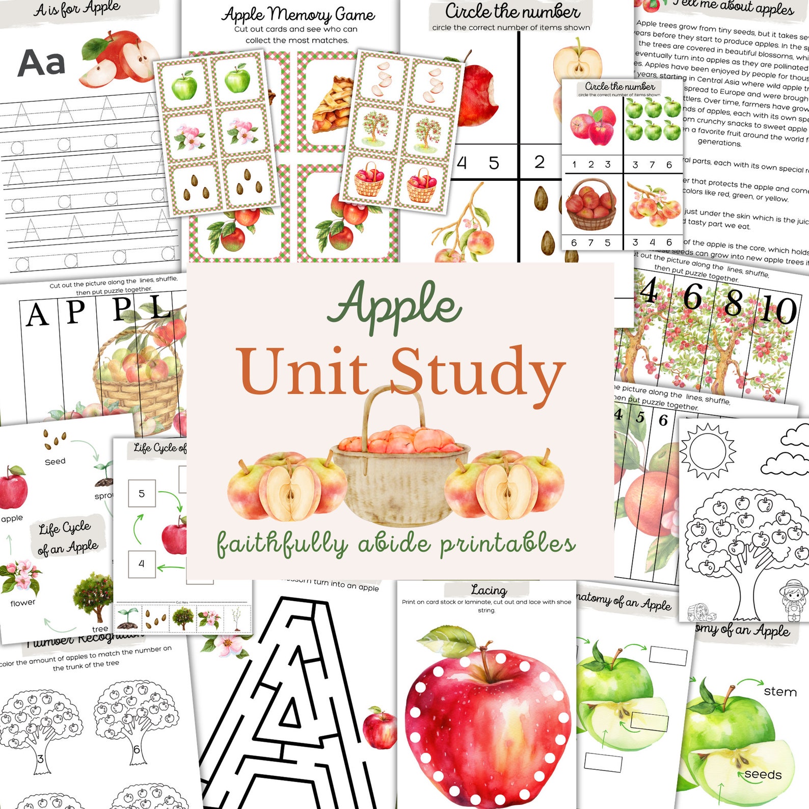 APPLE Mini Unit Study, Life Cycle, Anatomy, Nature Study, Science ...