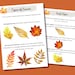AUTUMN LEAVES Mini Unit Study, Anatomy, Nature Study, Science ...