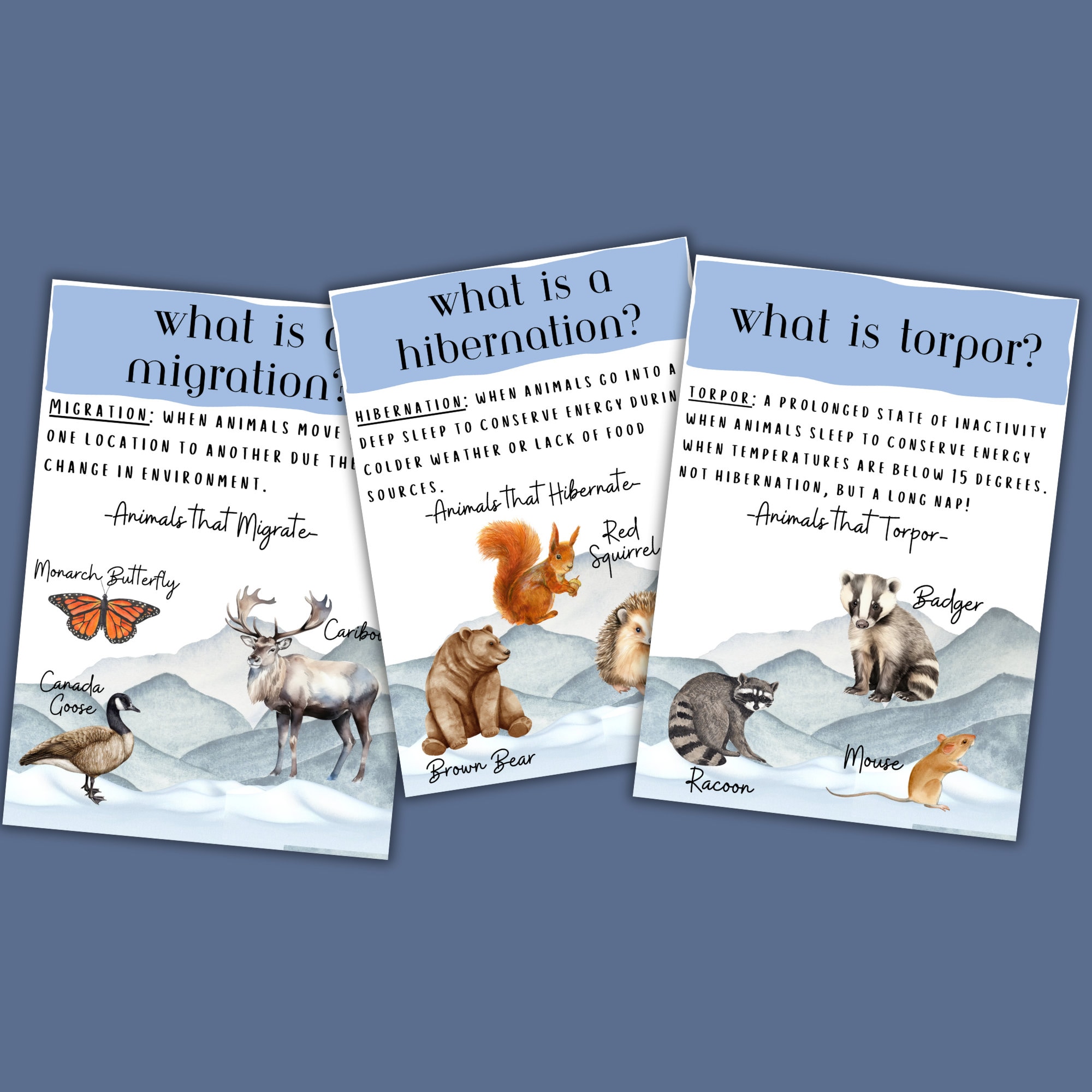 WINTER ANIMALS Unit Study, Vocabulary, Anatomy, Montessori, Homeschool ...