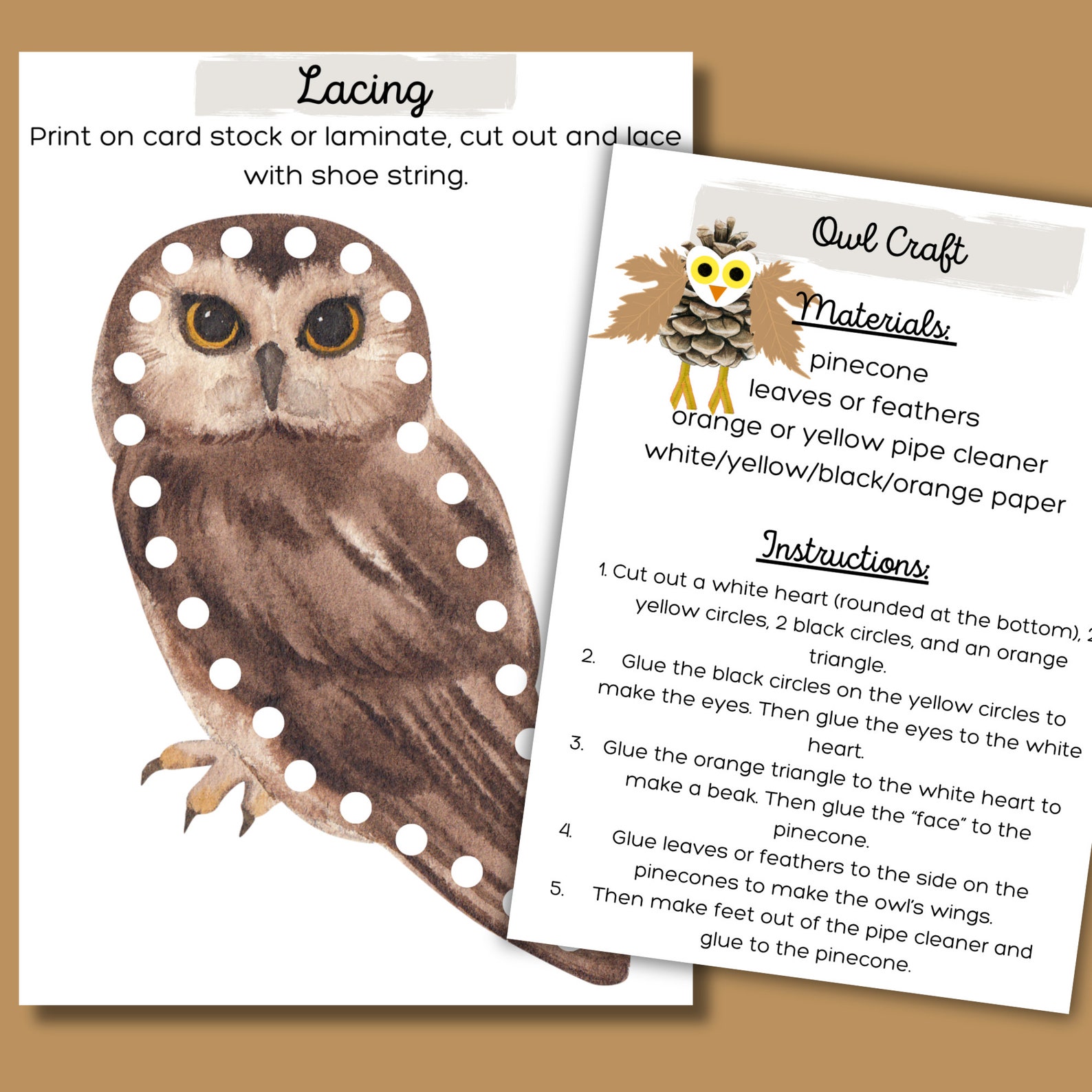 OWL Mini Unit Study, Life Cycle, Anatomy, Nature Study, Science ...