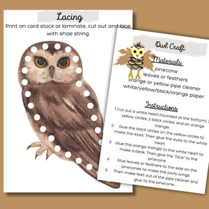 OWL Mini Unit Study, Life Cycle, Anatomy, Nature Study, Science ...