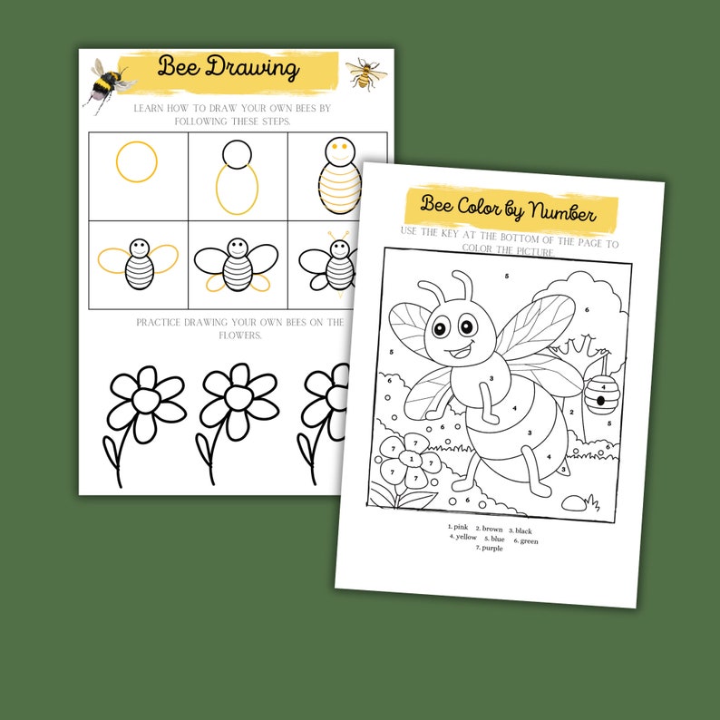 HONEY BEE Unit Study, 2nd to 5th Grade, Life Cycle, Anatomy, Nature ...