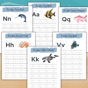 OCEAN Unit Study, Vocabulary, Anatomy, Montessori, Homeschool Printable ...