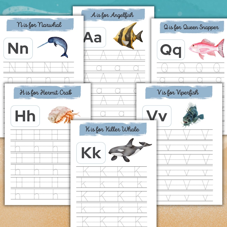 OCEAN Unit Study, Vocabulary, Anatomy, Montessori, Homeschool Printable ...