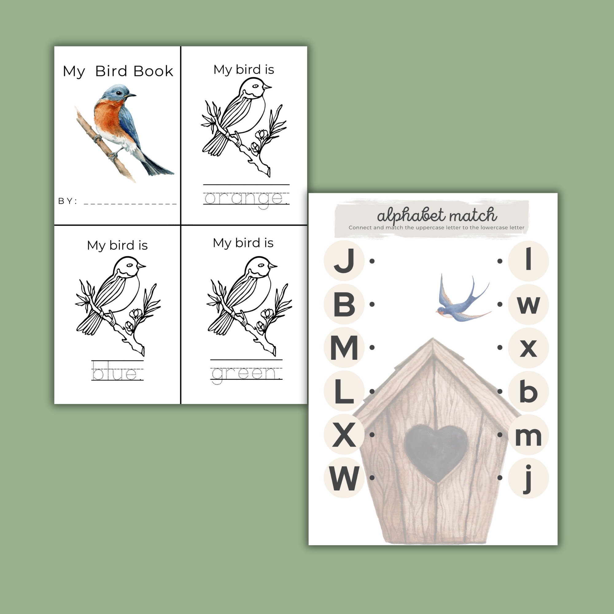 BIRD Mini Unit Study, Bird Activities, Numbers, Nature Study ...