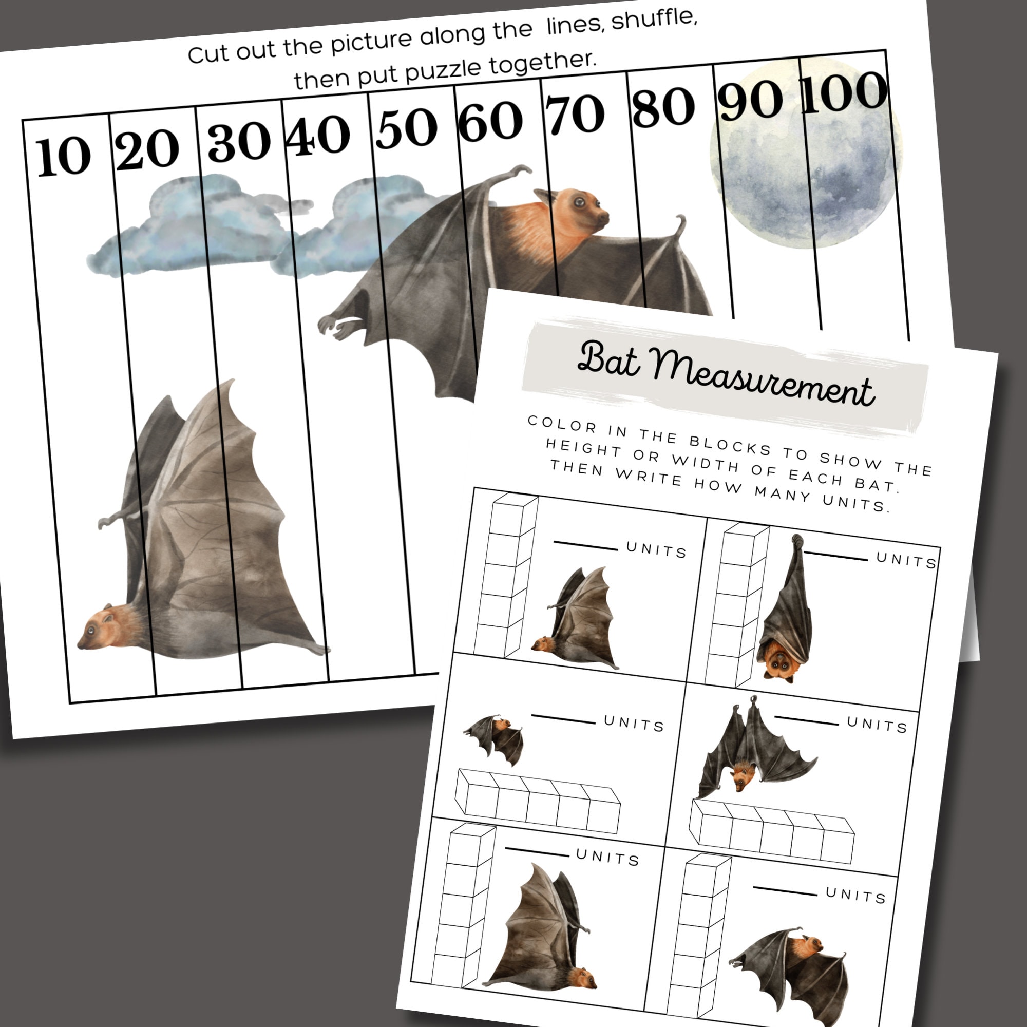 BATS Mini Unit Study, Life Cycle, Anatomy, Nature Study, Bat Study ...