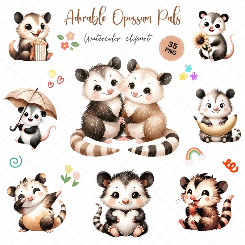 Adorable Opossum Clipart Set, Printable Woodland Animal Illustrations ...