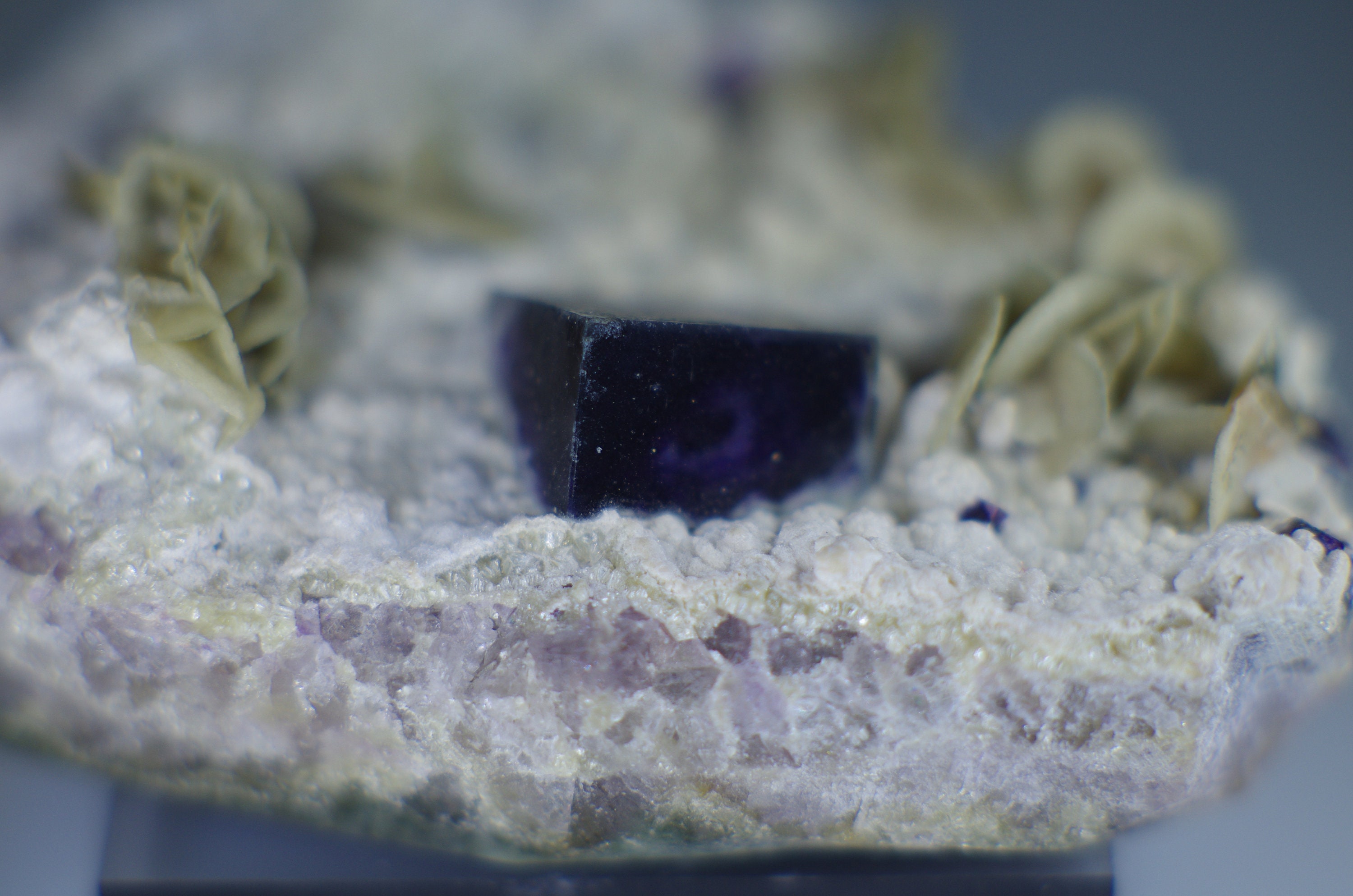 Yindu Pefect Cube on Muscovite With Siderite Flowers and Serpentine ...