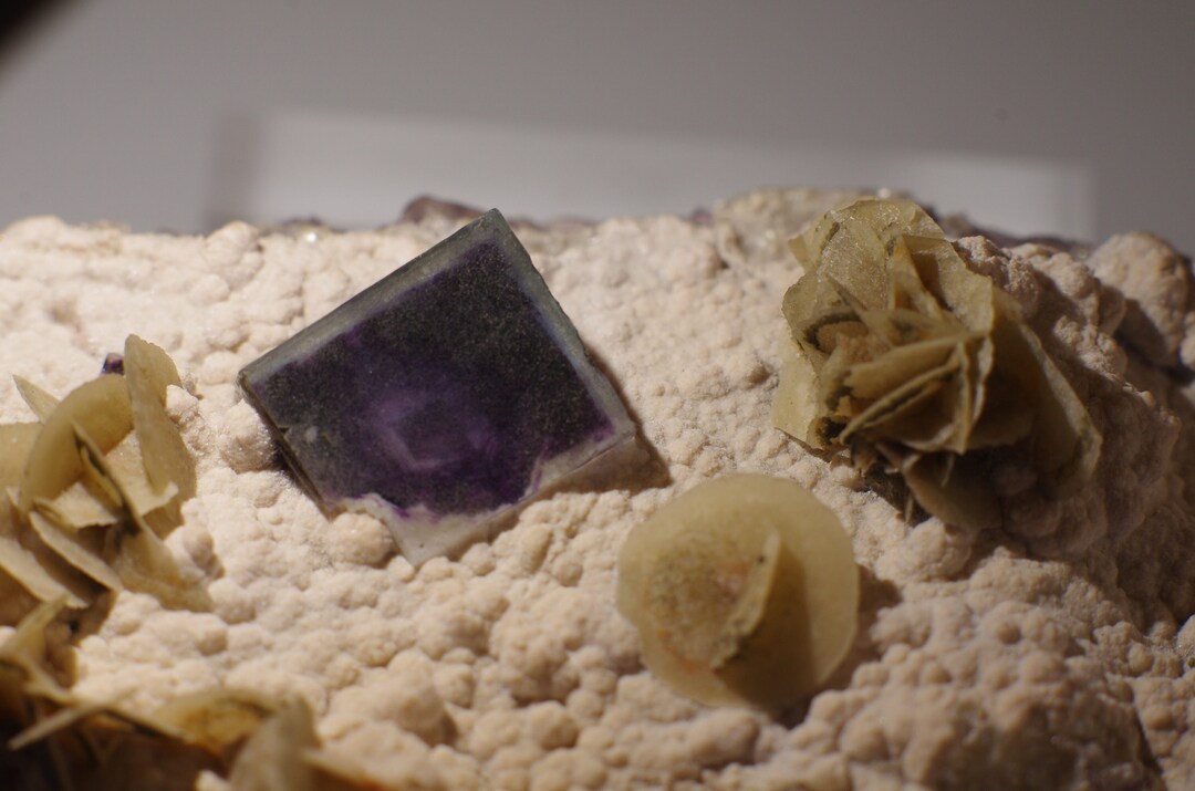 Yindu Pefect Cube on Muscovite With Siderite Flowers and Serpentine ...