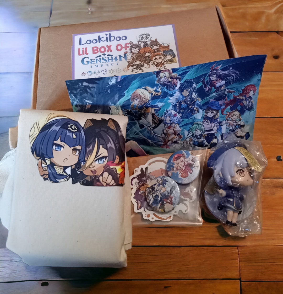 Lil Box of Genshin Impact - Etsy UK
