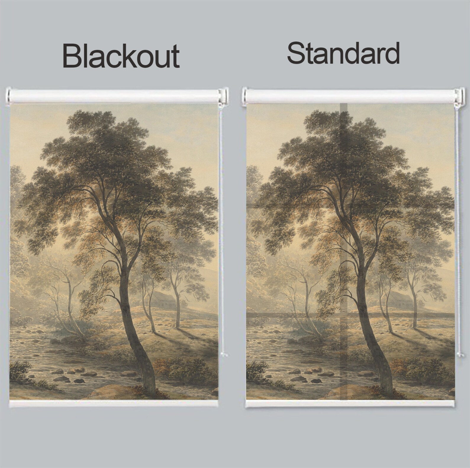 Forest Landscape , Roller Blind Printed, French Door Curtain, Light ...
