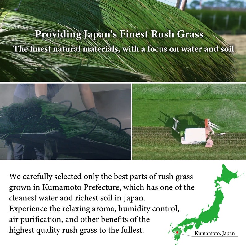 Tatami Mat 100% Japanese Rush Grass, Area Rug Goza Igusa, Traditional ...