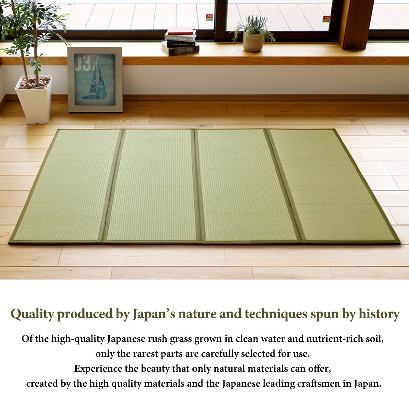 Tatami Mat 100% Japanese Rush Grass, 100200cm Foldable Nap Mat Green ...