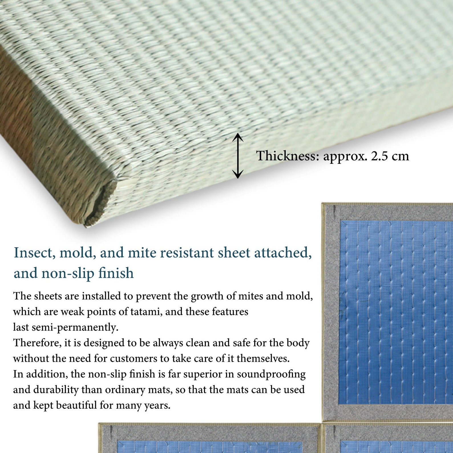 Tatami Mat 100% Japanese Rush Grass, Area Rug Goza Igusa, Traditional ...