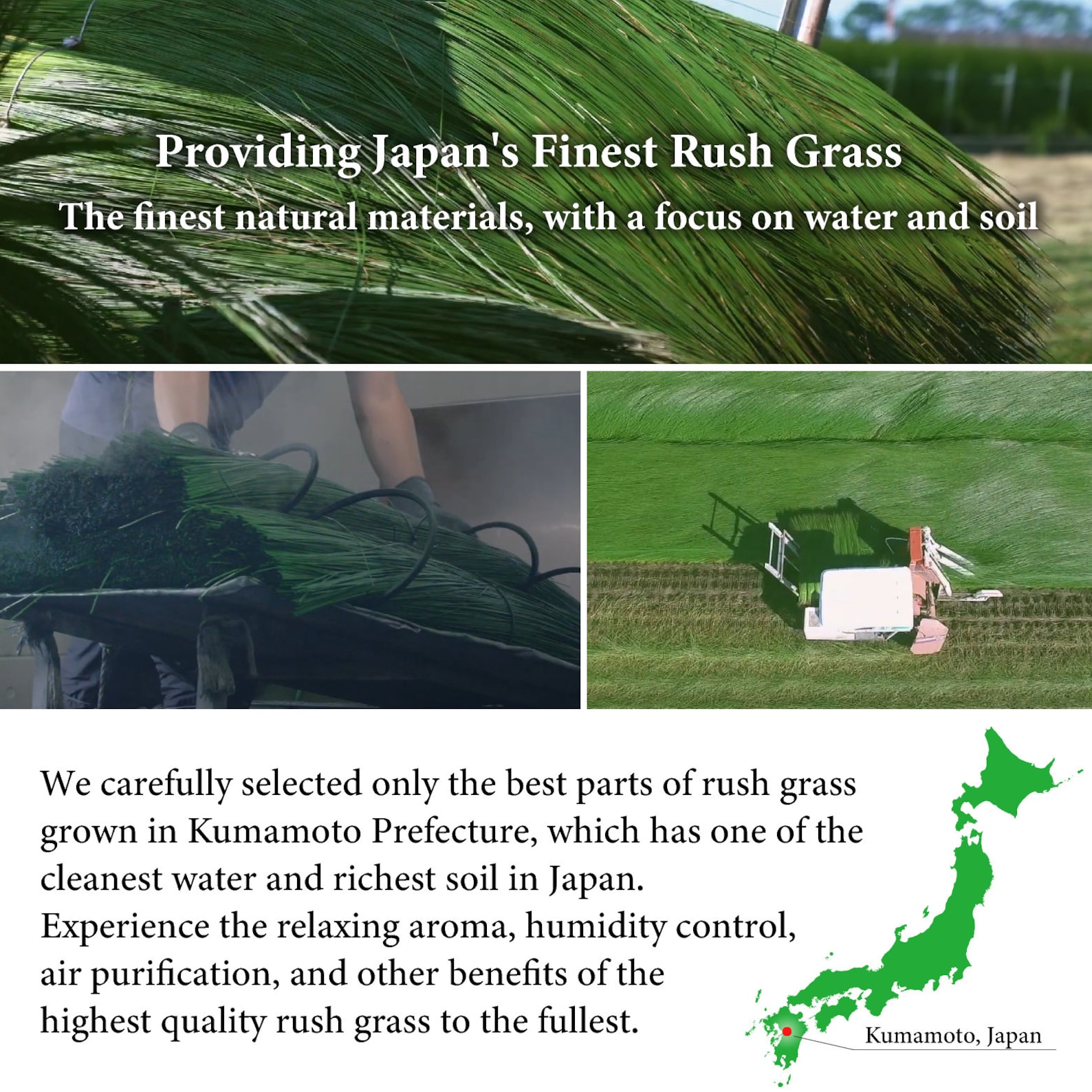 Tatami Mat 100% Japanese Rush Grass, Area Rug Goza Igusa, Traditional ...