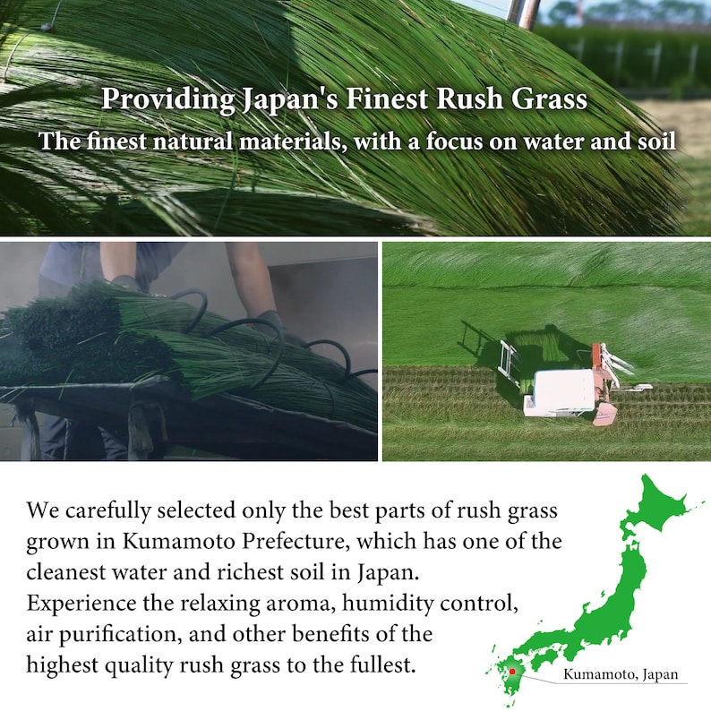 Tatami Mat 100% Japanese Rush Grass, Area Rug Goza Igusa, Traditional ...