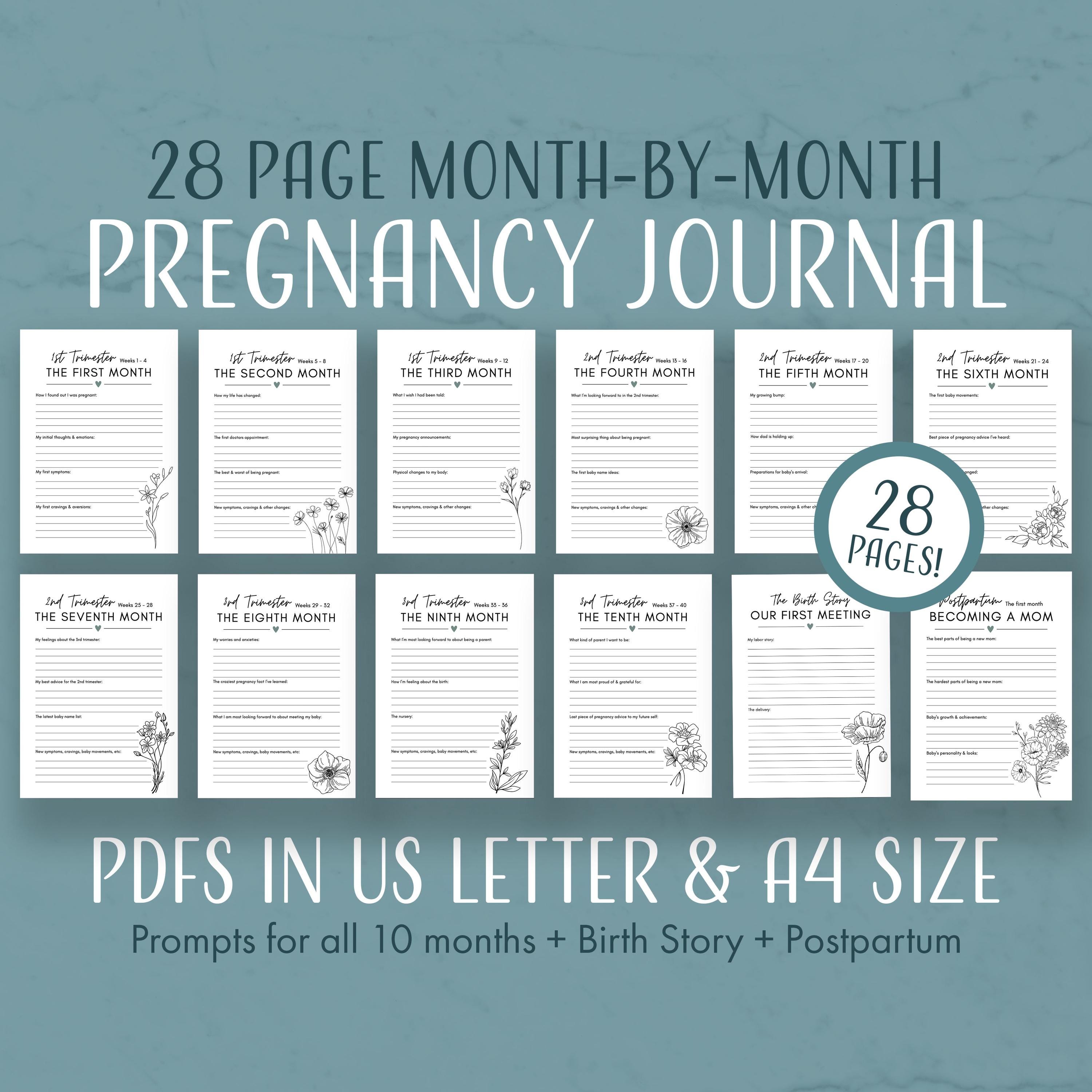 Pregnancy Journal | Printable Digital Download | 10 Months | the Birth ...