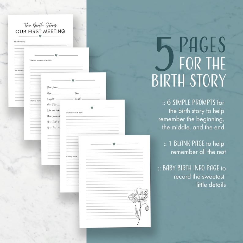 Pregnancy Journal | Printable Digital Download | 10 Months | the Birth ...