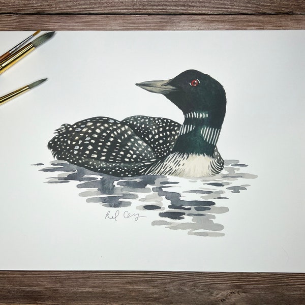 Common Loon - Etsy