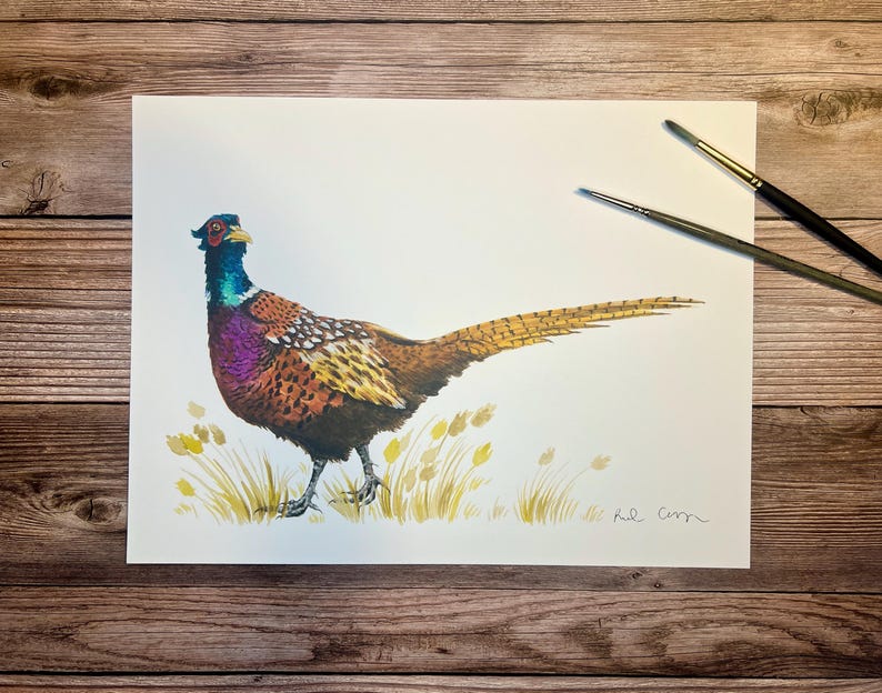 Ring-necked Pheasant Watercolor Wildlife Print | "morning Walk" - Etsy