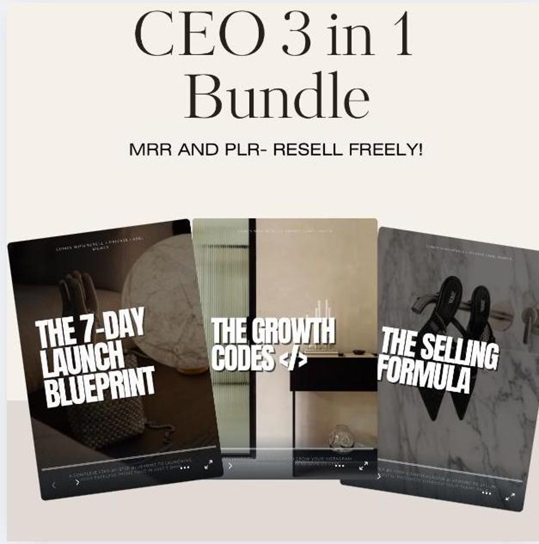 MRR & PRL CEO Blueprint 3 in 1- Digital Marketing, Social Media ...