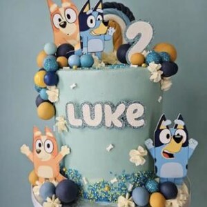 Bluey Cake Topper Bundle Personalised Name and Age Edible - Etsy