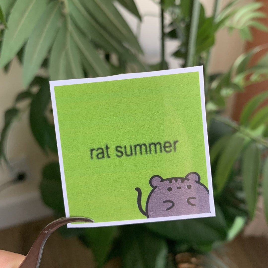 Rat Summer Sticker Water-resistant High Gloss Sticker Laptop ...