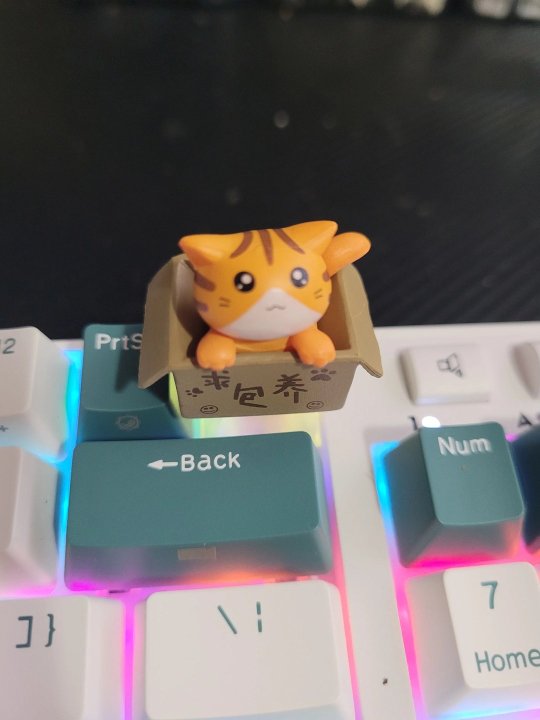 DIY Cat Cartoon Anime Keycap Custom Backlit Keycaps for Cherry MX ...