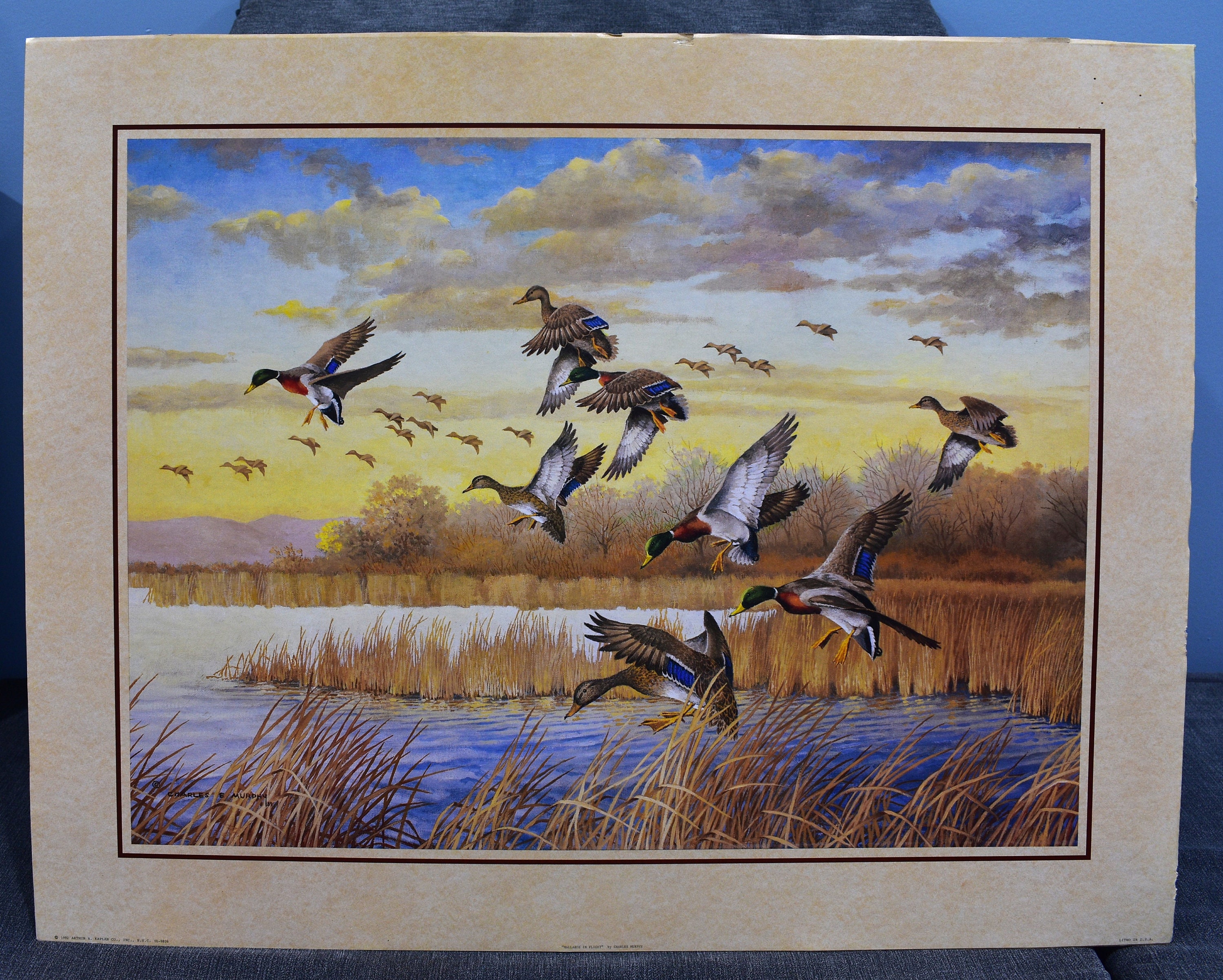 Lithograph Print of mallards in Flight by Charles Murphy - Etsy
