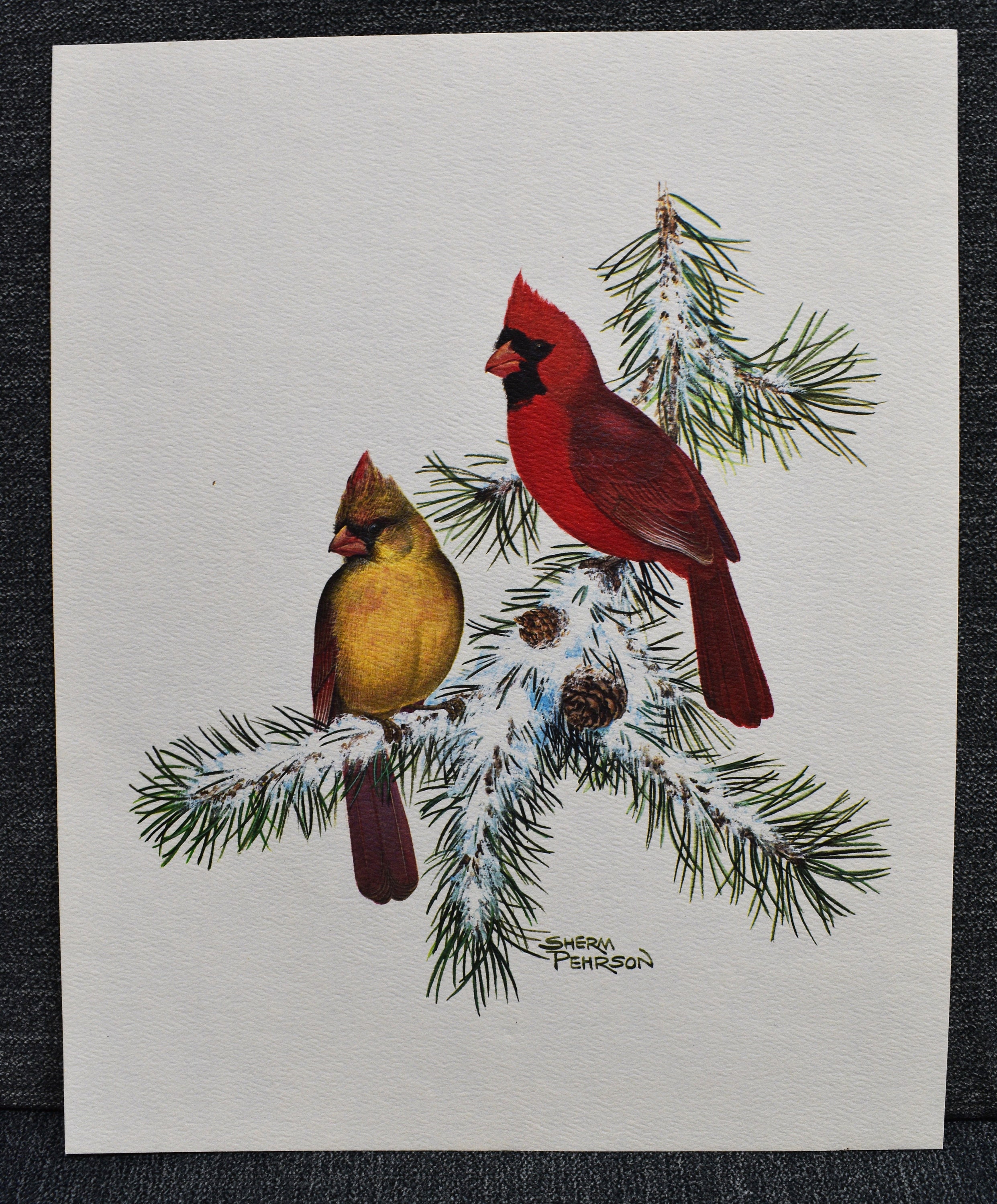 1978 Collector's Portfolio of Song Birds by Sherm Pehrson 6 Prints - Etsy