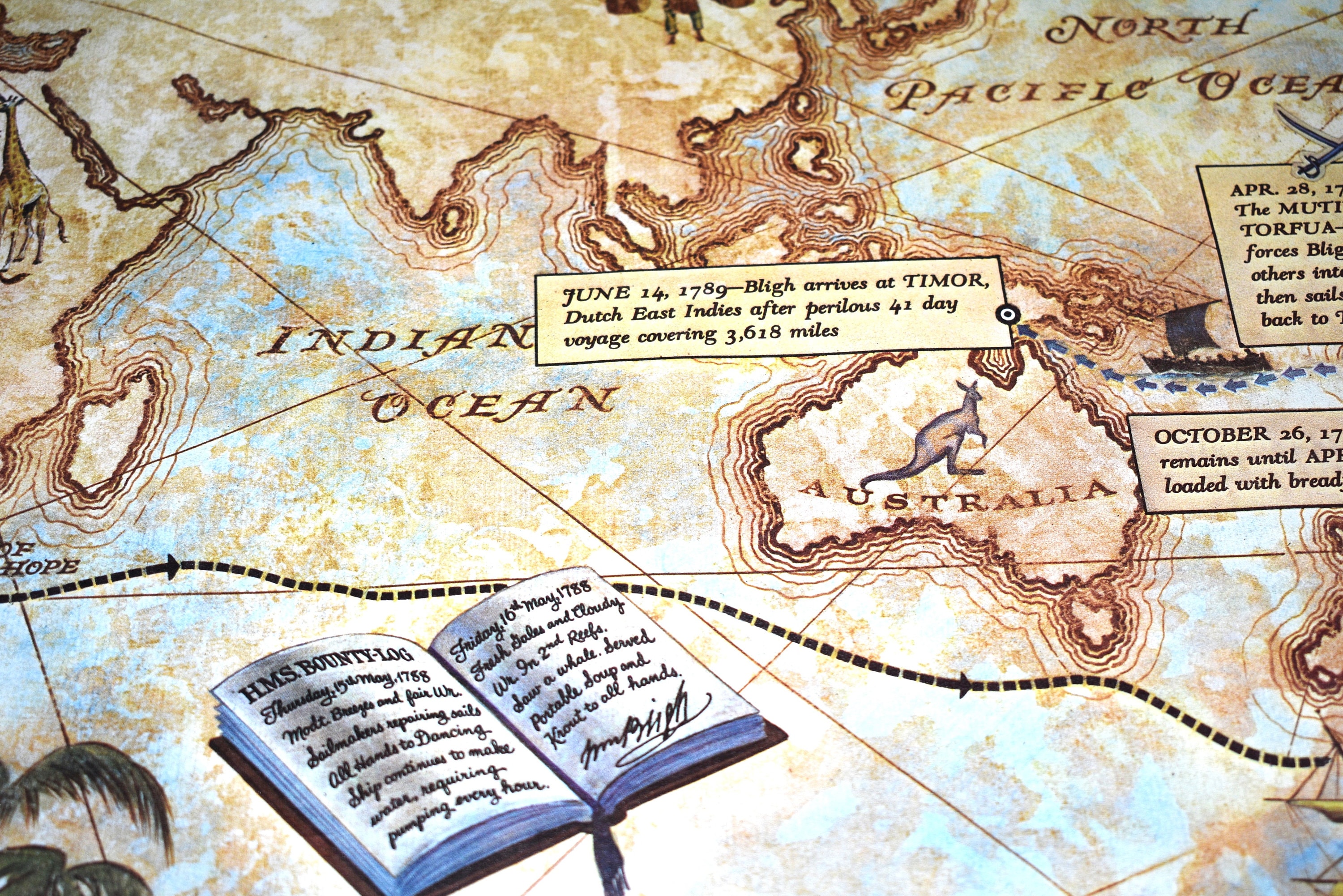 Vintage Map of the Voyage of H.M.S. Bounty - Etsy