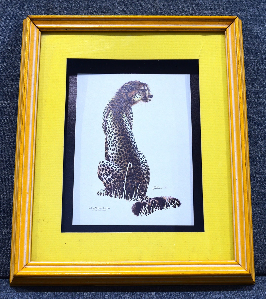 Indian/african Cheetah Print by Artist Kushner in a Yellow Shadow Box ...
