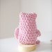 Emotional Support Crochet Frog Animal With Pun Saying, Frog Lover Gift ...