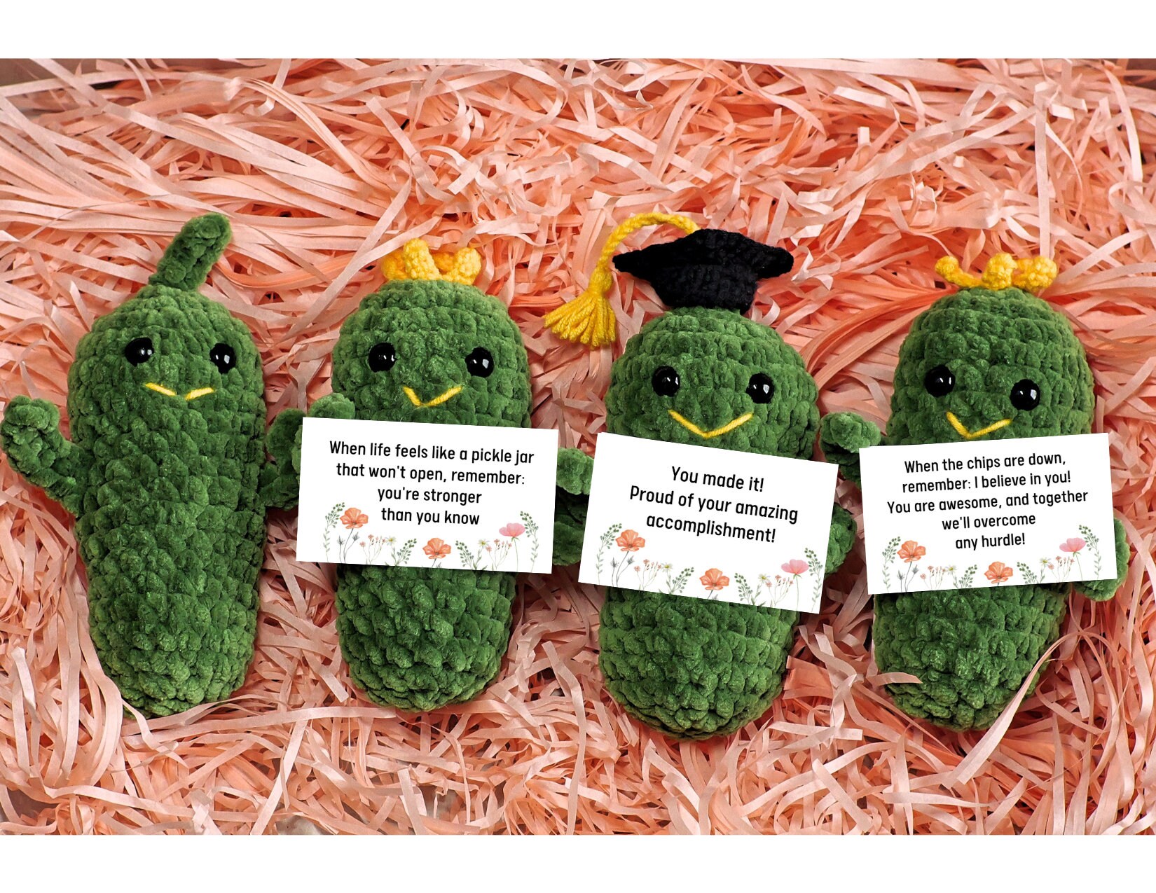 Personalized College Graduation Crochet Pickle Gift, High School Senior ...