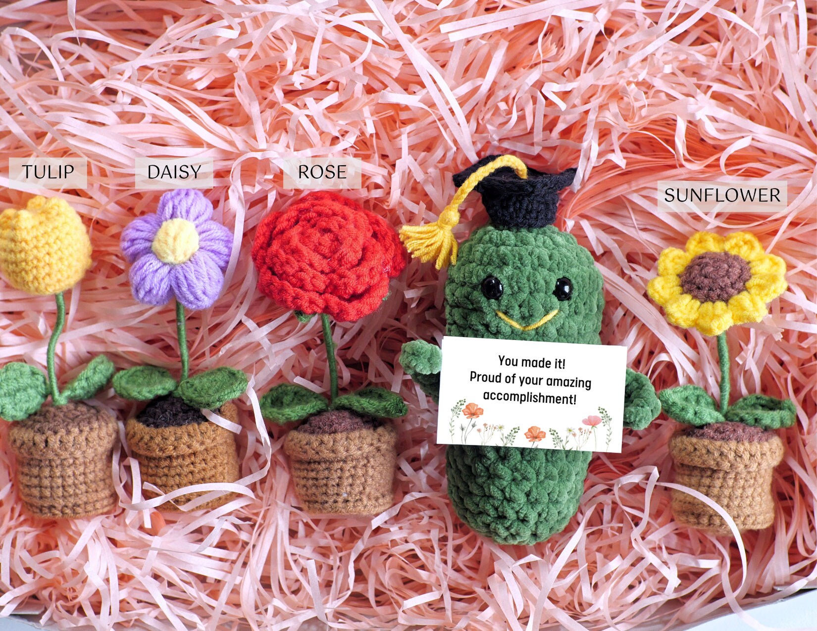 Personalized College Graduation Crochet Pickle Gift, High School Senior ...