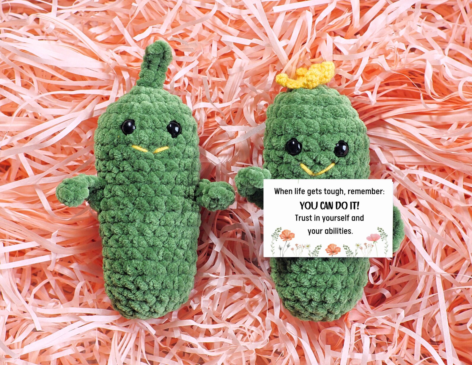 Personalized College Graduation Crochet Pickle Gift, High School Senior ...