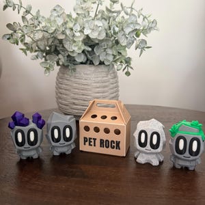 3D Printed Pet Rock With Carrier - Etsy