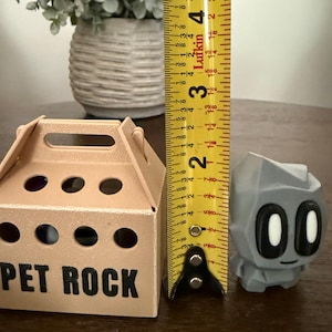 3D Printed Pet Rock With Carrier - Etsy