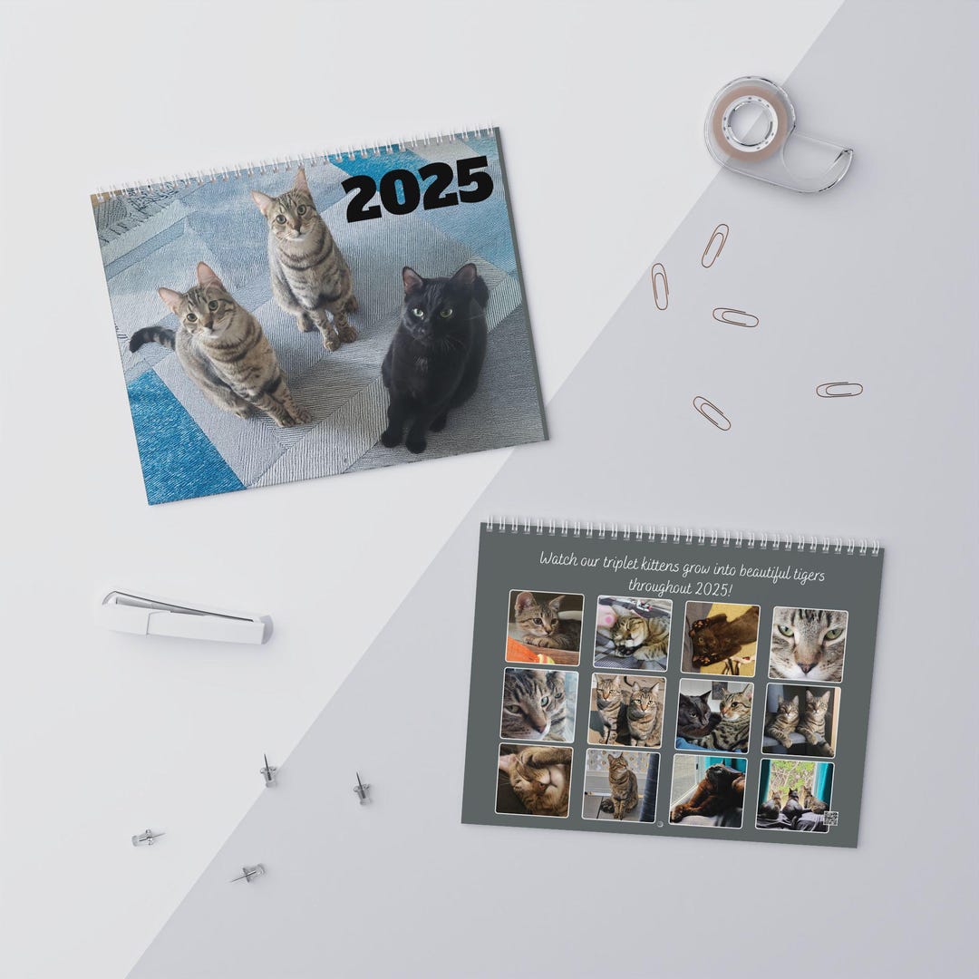 Kitten Triplet Wall Calendar 2025 - Cuteness Overload - Etsy