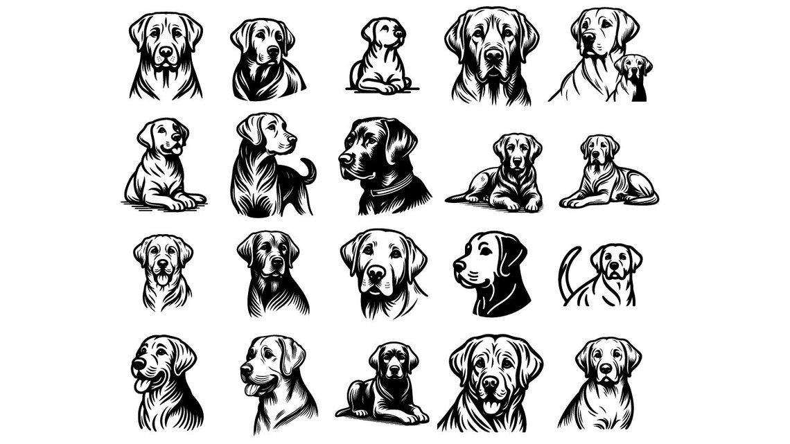 20 Labrador Svg Full Body Labrador Clipart Bundle Dog Breed Retriever ...