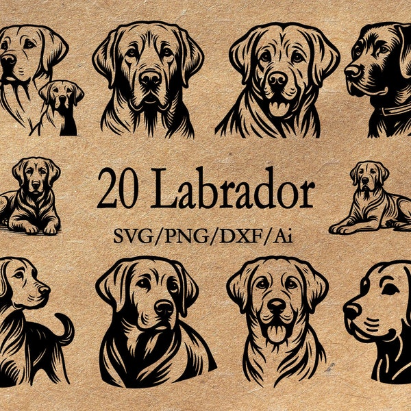 Lab Dog Svg - Etsy
