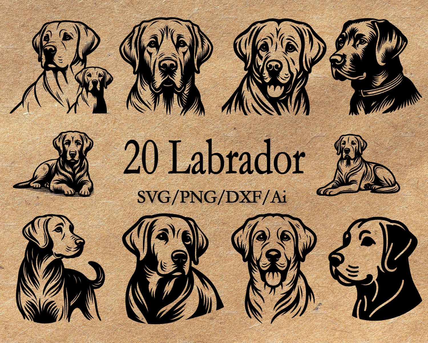 20 Labrador Svg Full Body Labrador Clipart Bundle Dog Breed Retriever ...
