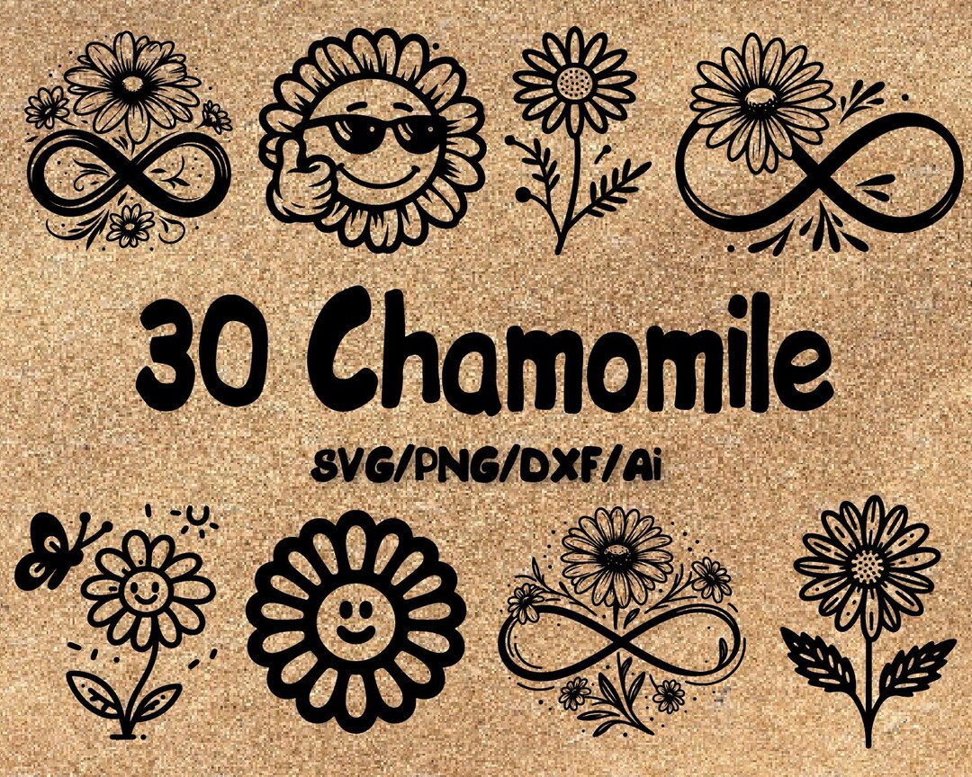 30 Chamomile SVG, Chamomile Flower Svg Files for Cricut, Clipart Cut ...