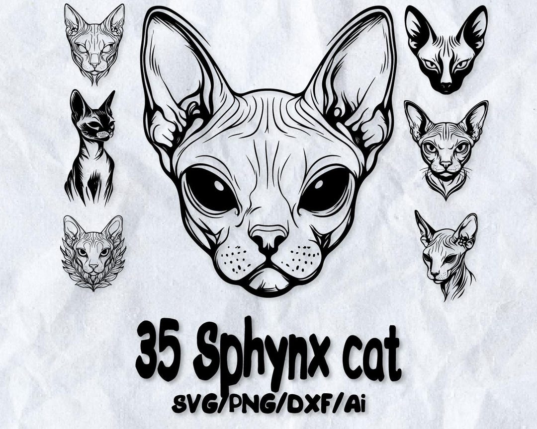 35 Sphynx Cat Svg Bundle Peeking Paws Commercial Egyptian Cute Hairless ...