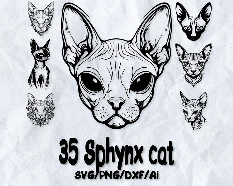 Sphynx Cat SVG Bundle: Peeking Paws Clipart (commercial License) - Etsy